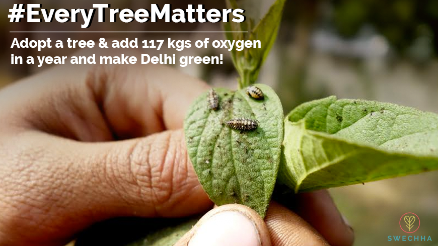 Swechha is a New Delhi based, youth-led youth-run organization ...