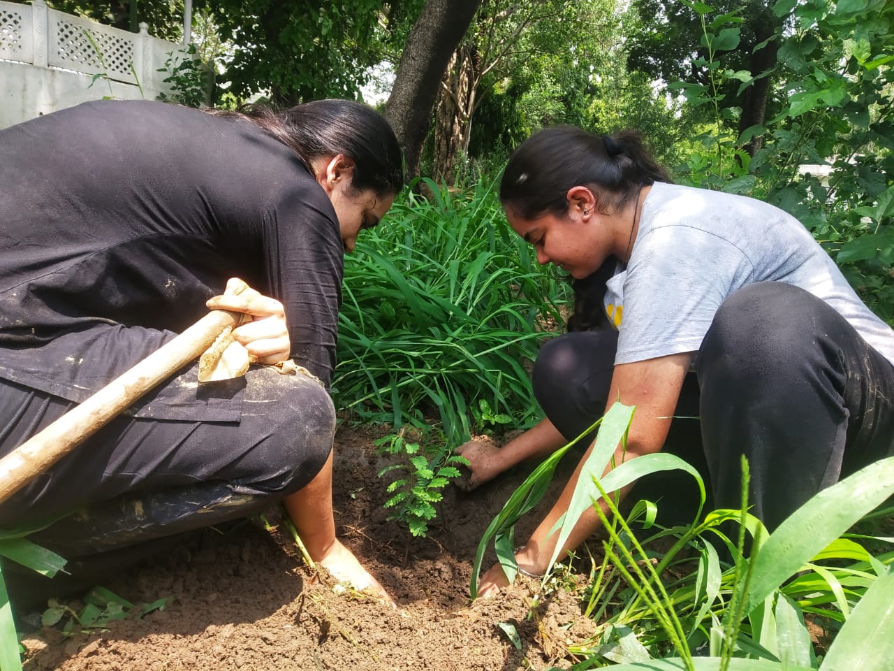 Swechha – Education. Environment. Enterprises