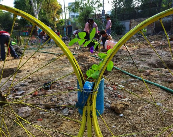 Home - Swechha India : Environment, Education, Social Enterprise