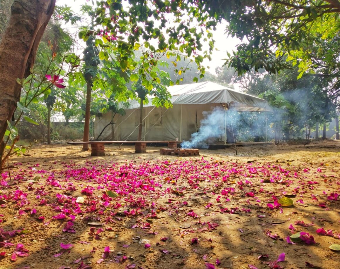 Home - Swechha India : Environment, Education, Social Enterprise