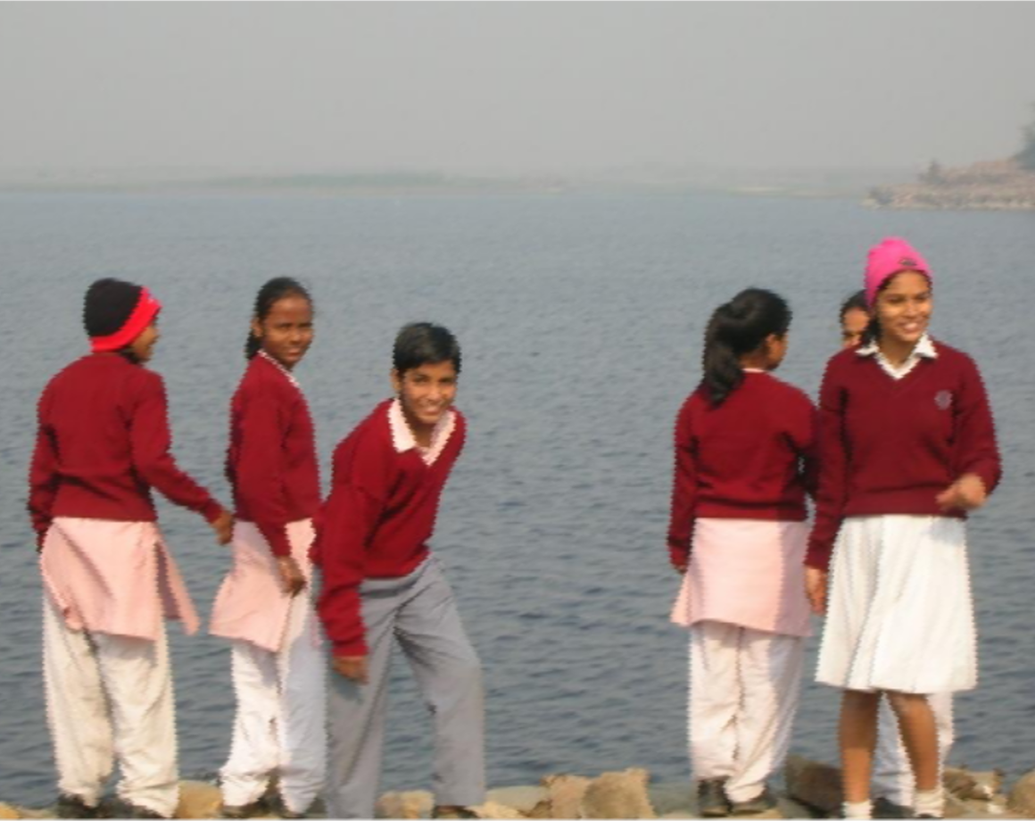 Home - Swechha India : Environment, Education, Social Enterprise