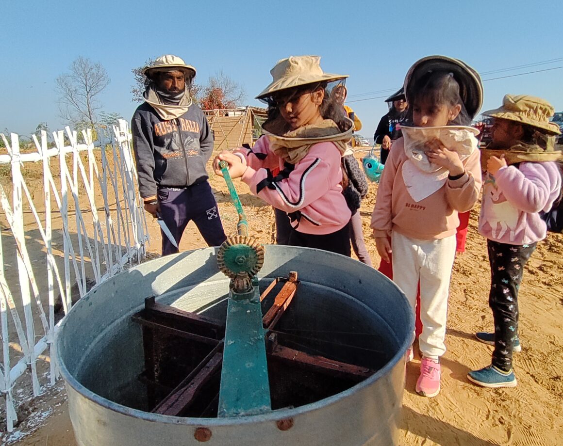 Home - Swechha India : Environment, Education, Social Enterprise