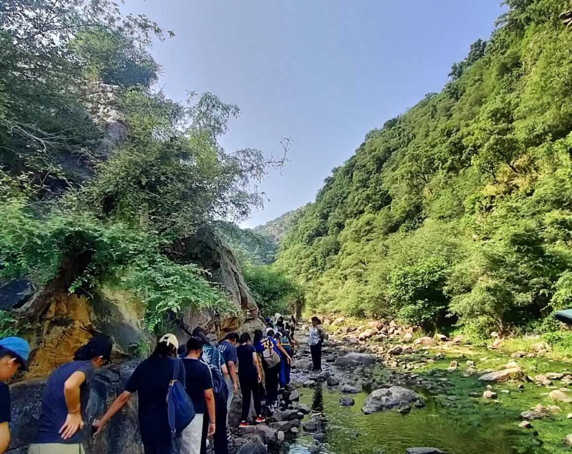 Home - Swechha India : Environment, Education, Social Enterprise